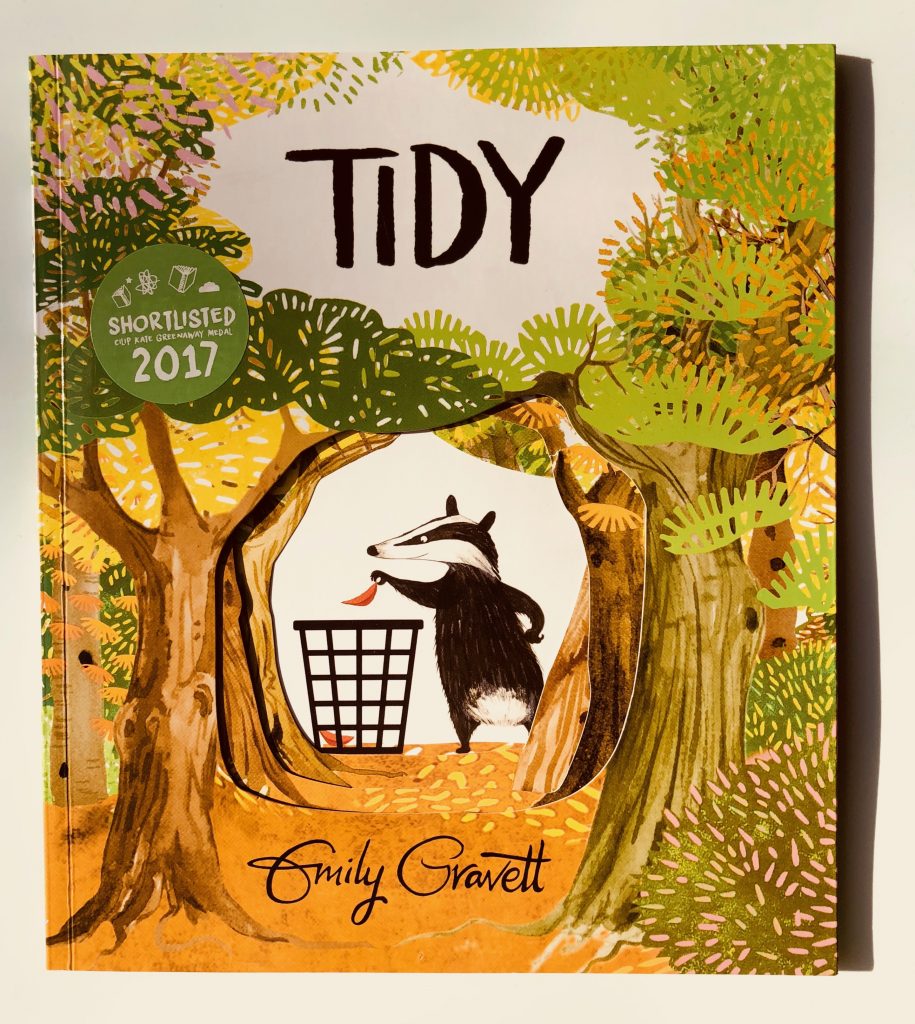 Tidy By Emily Gravett - Ivy's Library